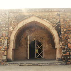 Refuge of the World – Jahanpanah | Explore Delhi | Culture Walks in ...